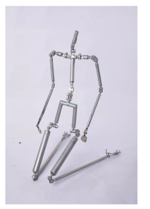 Standard Skeleton and EVO Skeleton - FantasyWives